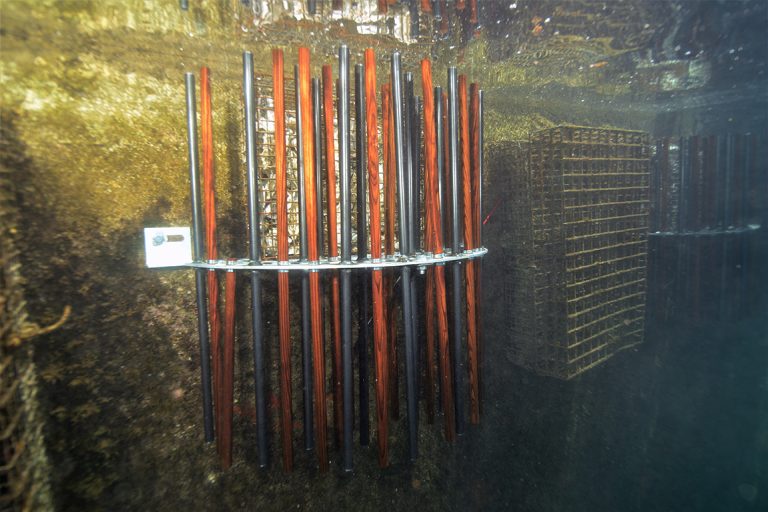 Our actions in aid of the environment - Société d'Exploitation des ...