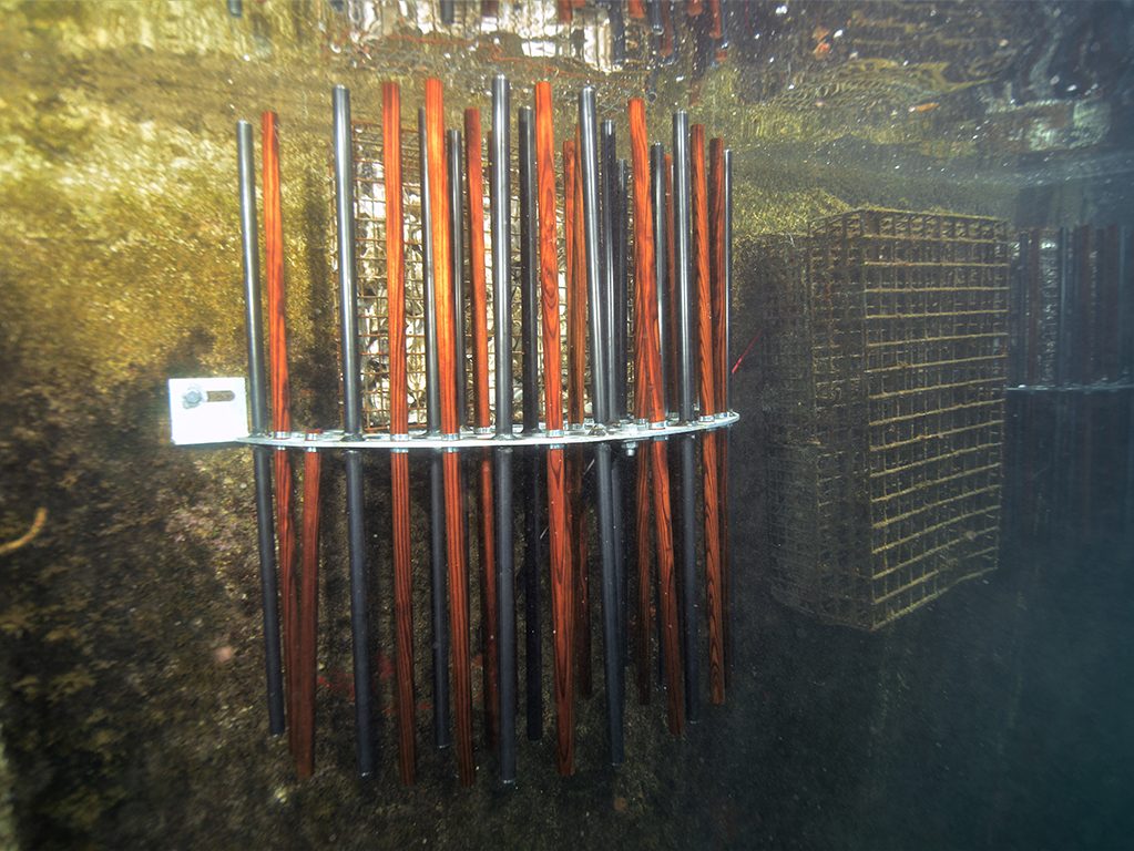 Our actions in aid of the environment - Société d'Exploitation des ...