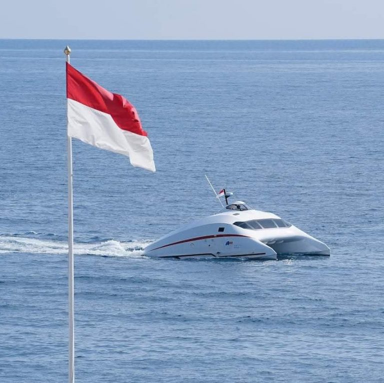 The SEPM: Société d'Exploitation des Ports de Monaco